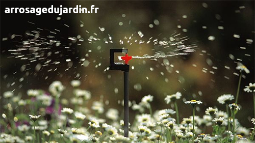 Qu’est ce que l’arrosage par micro aspersion? - Blog arrosage du jardin